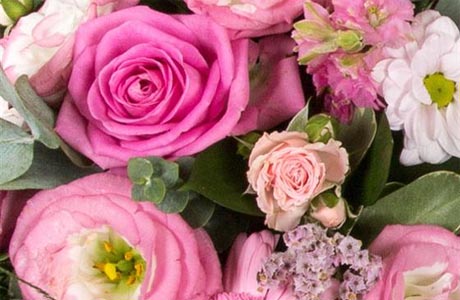 Absolute Flowers - Florist in Youghal 00353 24 91222